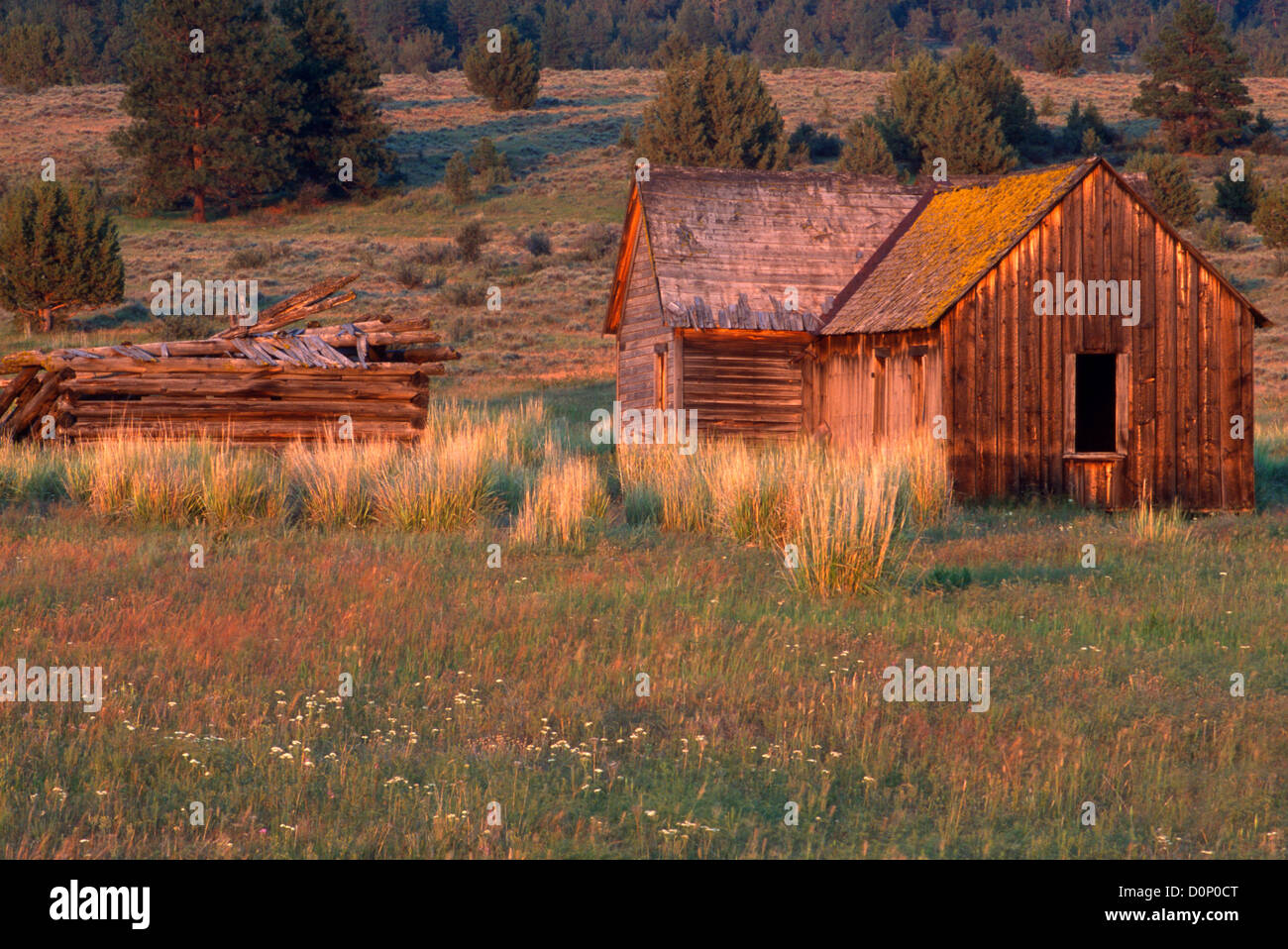 Abandoned House Near John Day, Oregon Stock Photo - Alamy