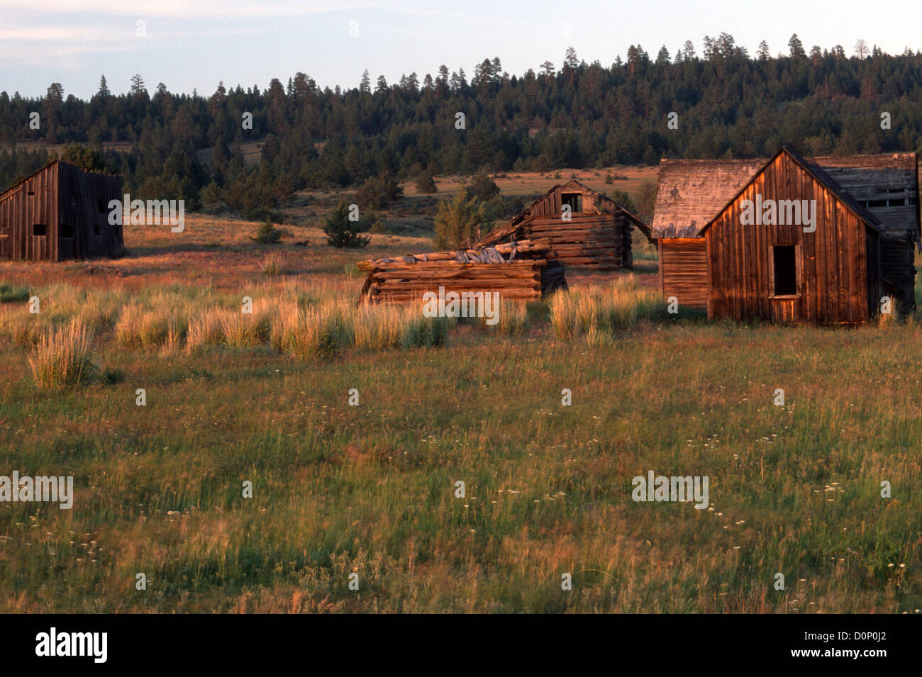 Abandoned House Near John Day, Oregon Stock Photo - Alamy