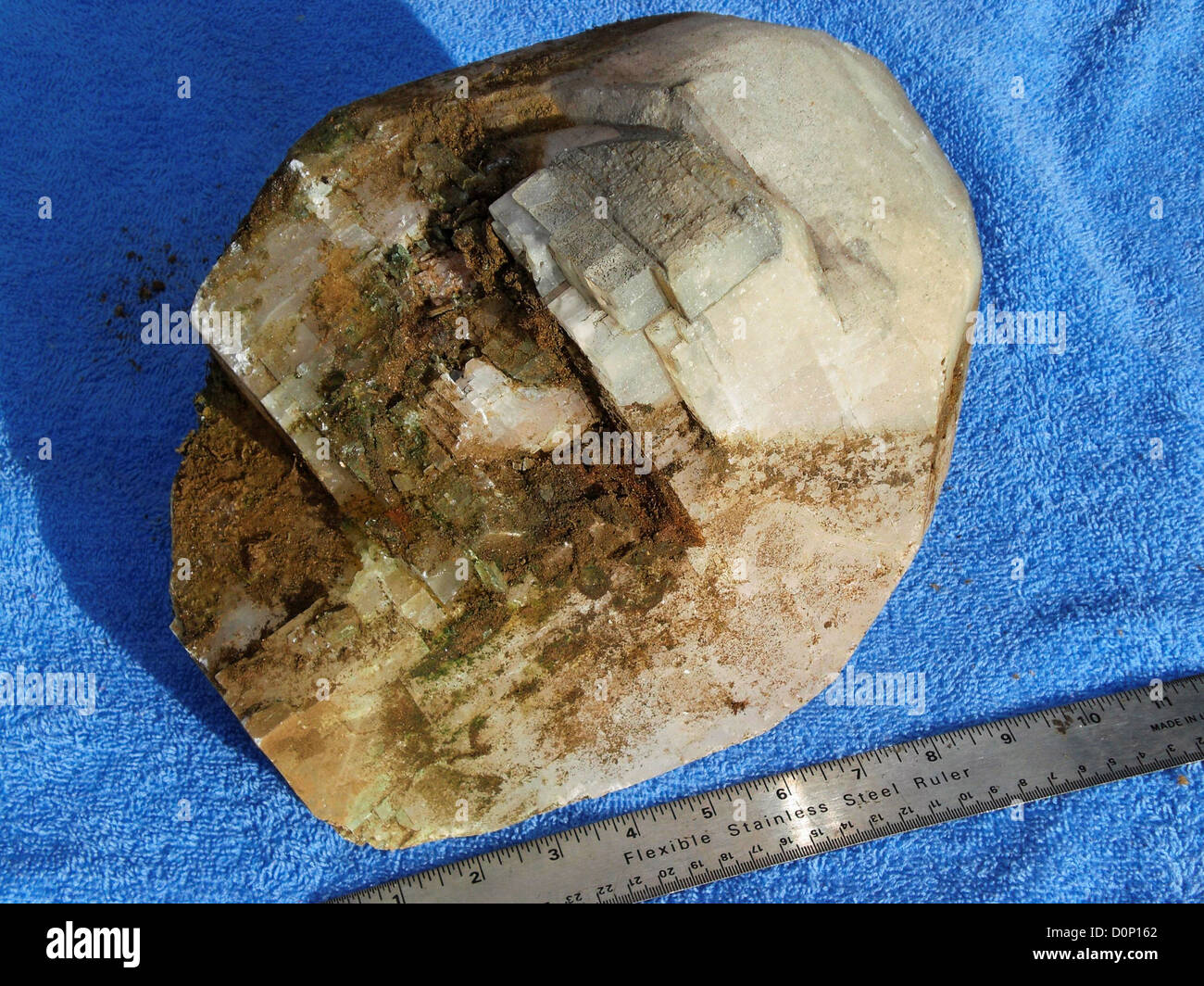 Rock with Bacteria Stock Photo - Alamy