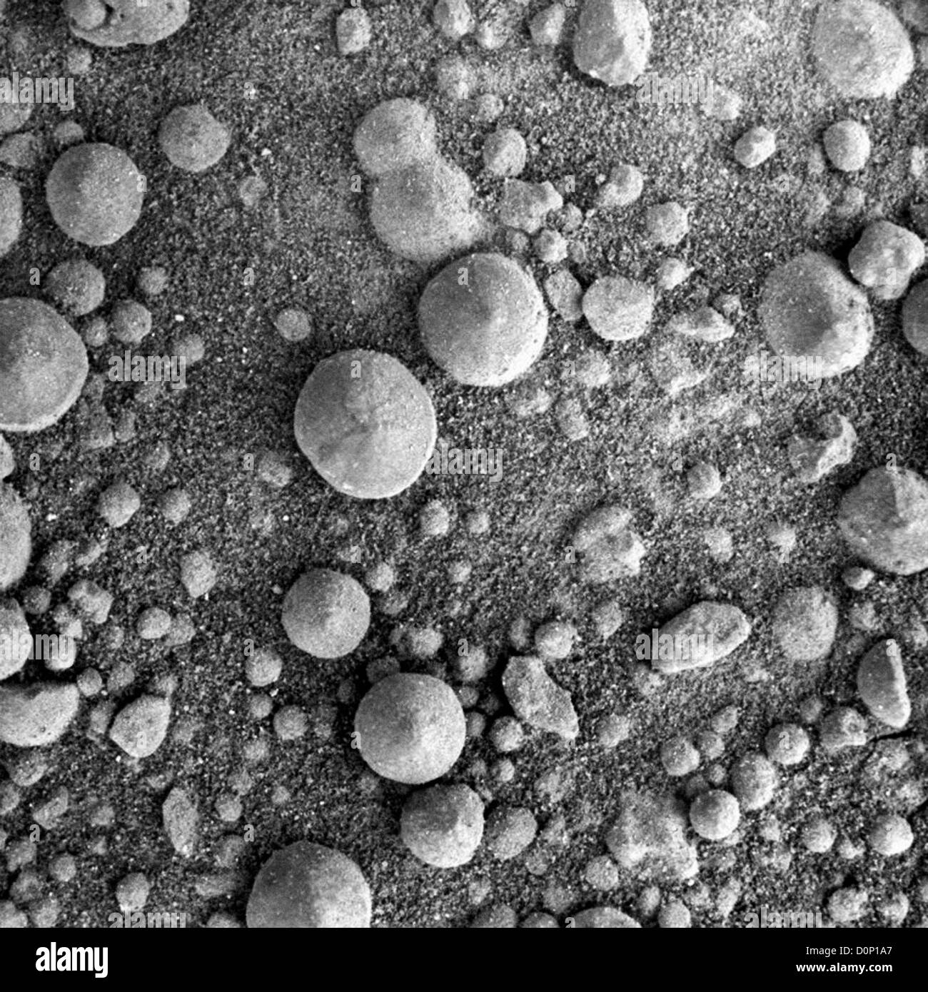 Black nodules Black and White Stock Photos & Images - Alamy