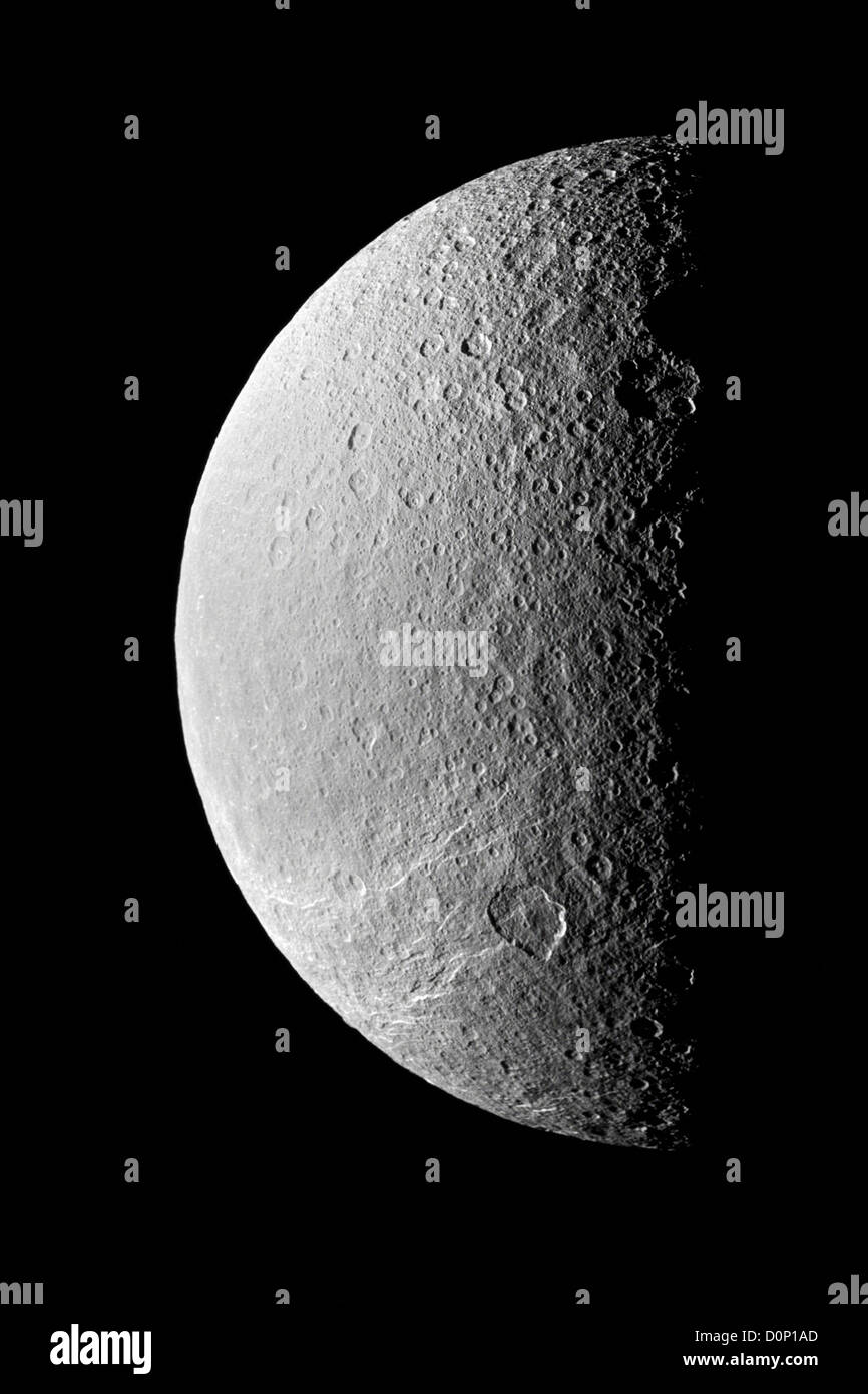 White rhea hi-res stock photography and images - Alamy