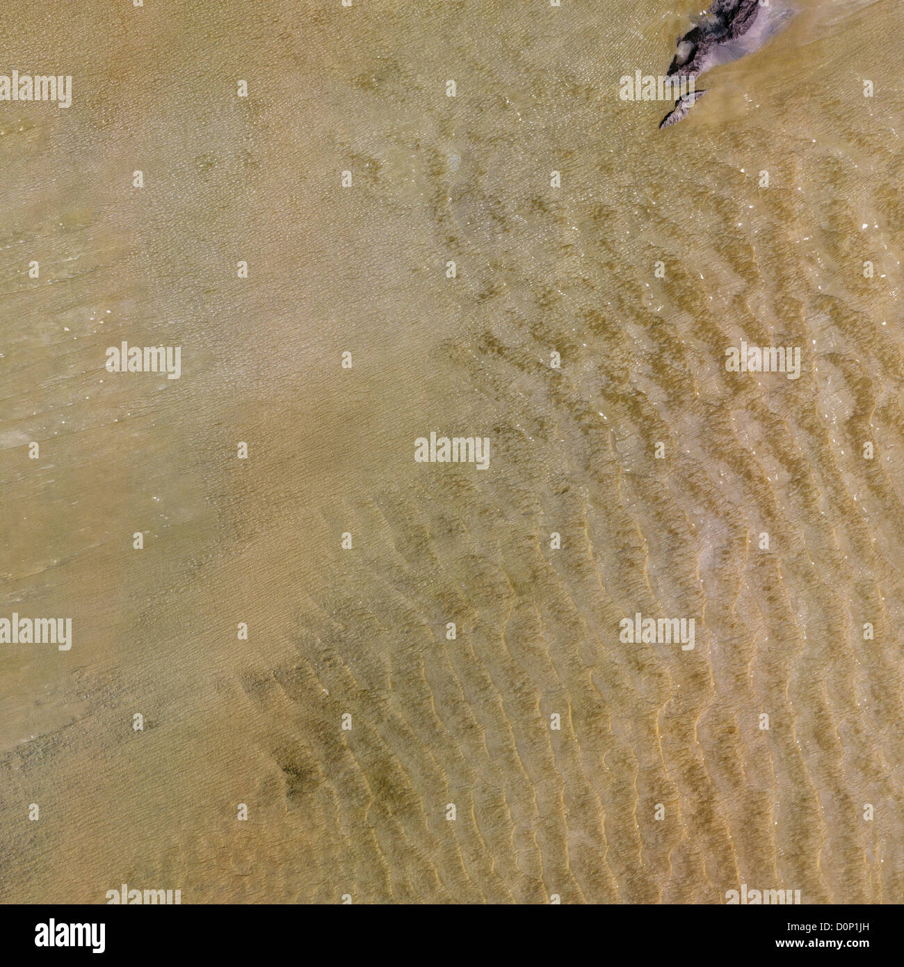 Registan desert hi-res stock photography and images - Alamy