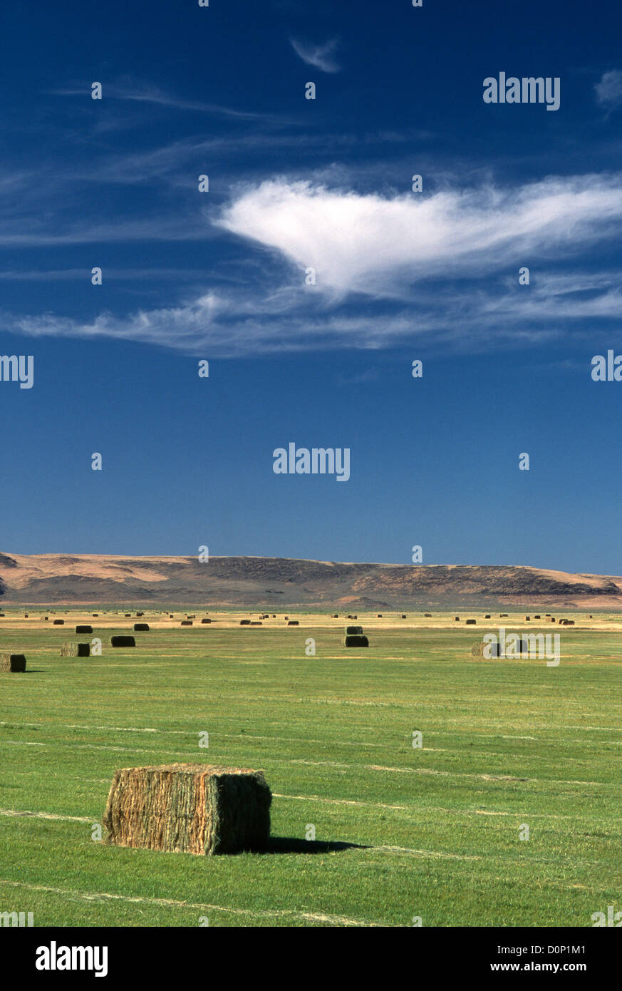 Hay Field, Or Stock Photo - Alamy
