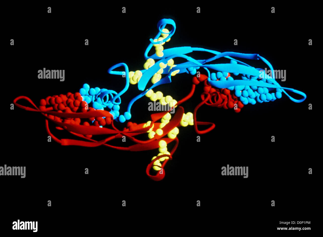 A transforming growth factor beta (TGF-Beta) is protein controlling ...