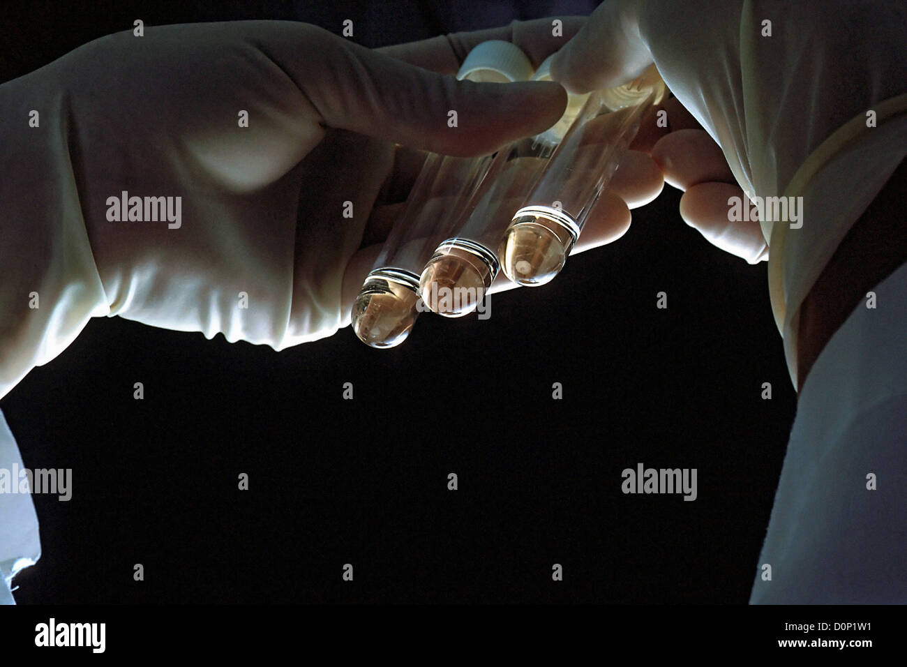 A scientist's hands holding three test tubes. one on left contains ...