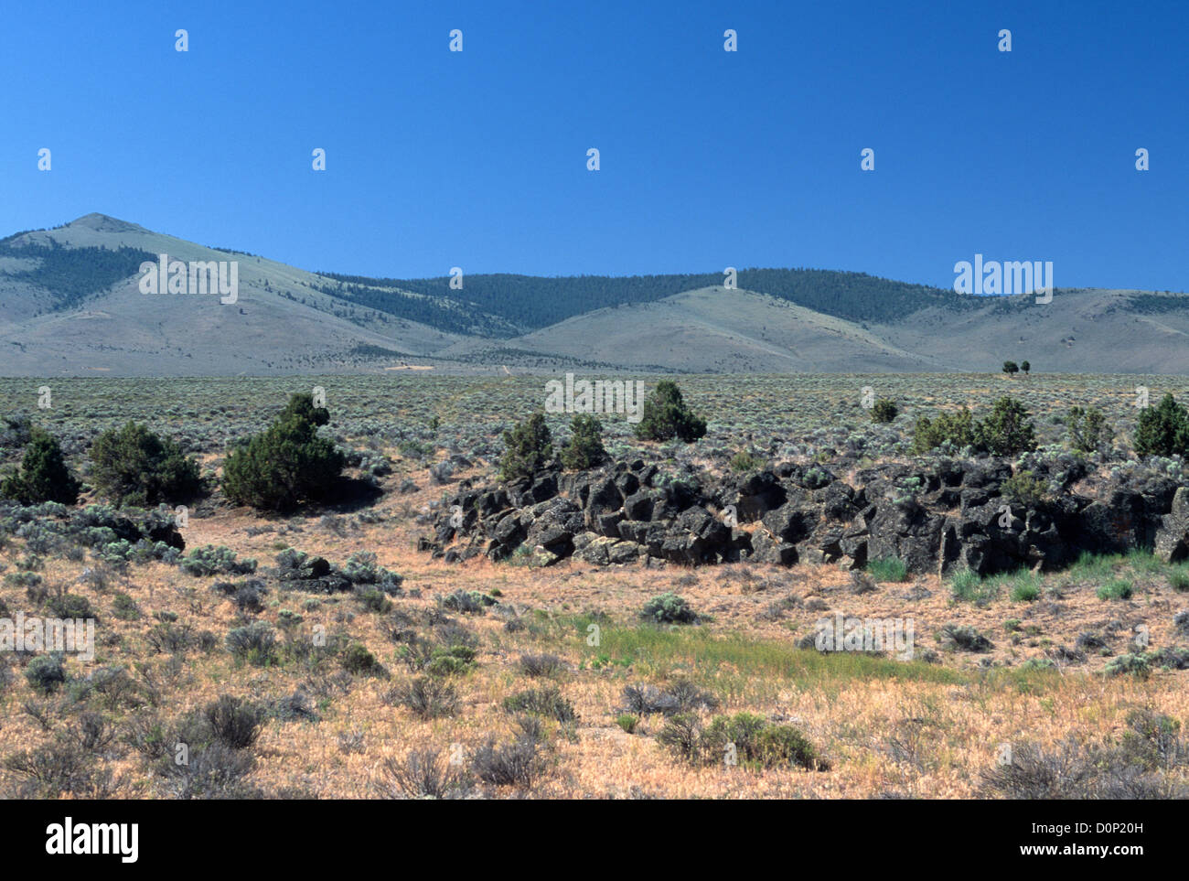 High Desert Oregon Stock Photo - Alamy
