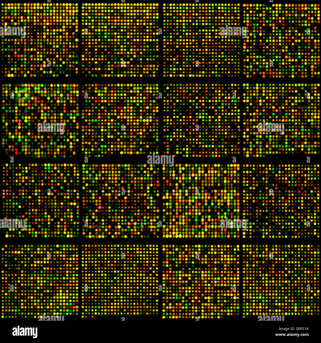 A mouse cDNA microarray containing approximately 8,700 gene sequences ... A mouse cDNA microarray containing approximately 8,700 gene sequences ...