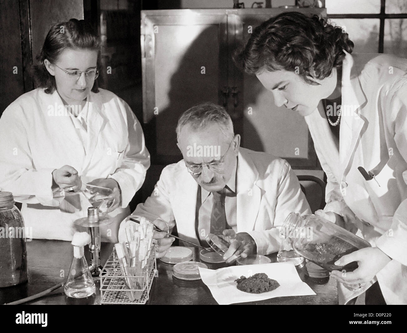 Selman Waksman associates testing streptomycin bacterial antibiotic ...