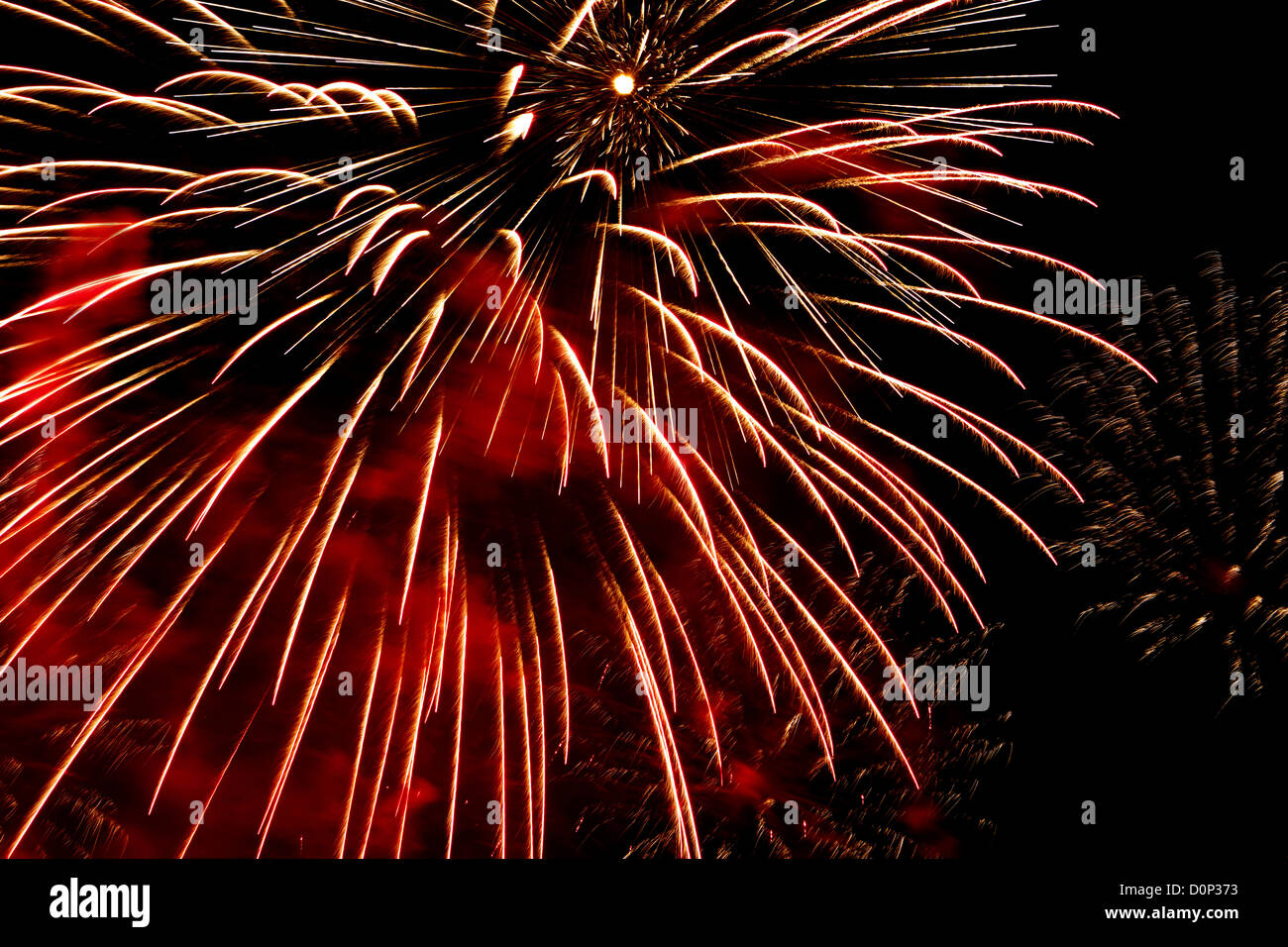Fireworks flash in the black sky Stock Photo - Alamy