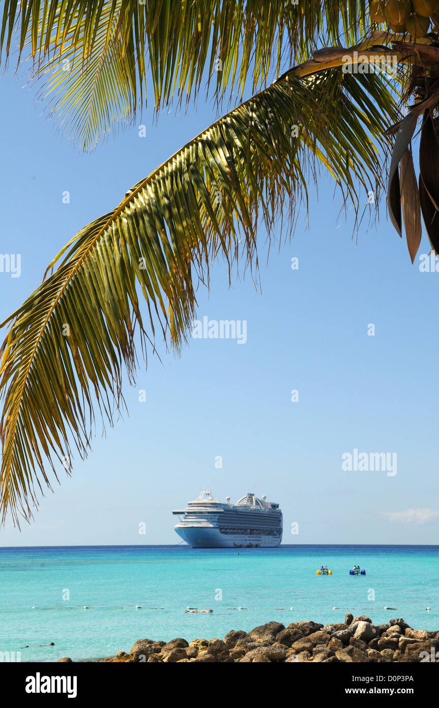 Palm tree and cruise ship in tropical waters Stock Photo - Alamy