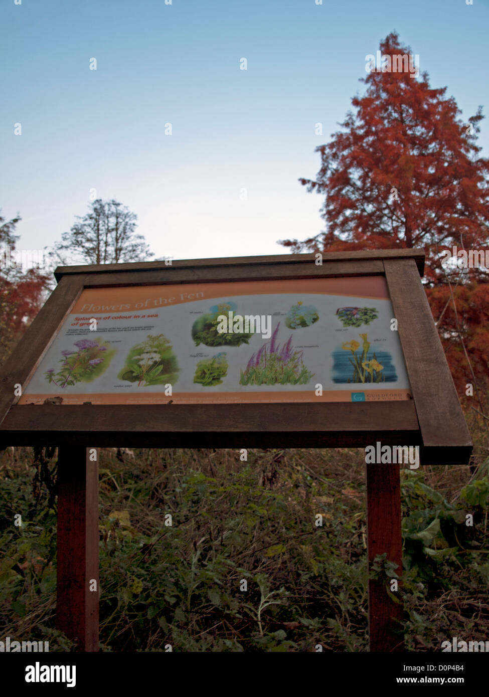 Guildford grass hi-res stock photography and images - Alamy