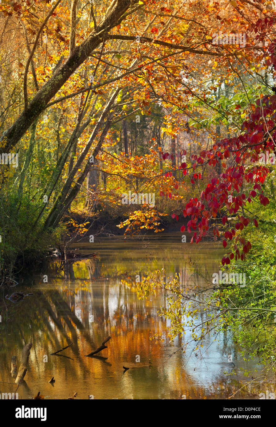 View of creek with trees and fall colors Stock Photo - Alamy