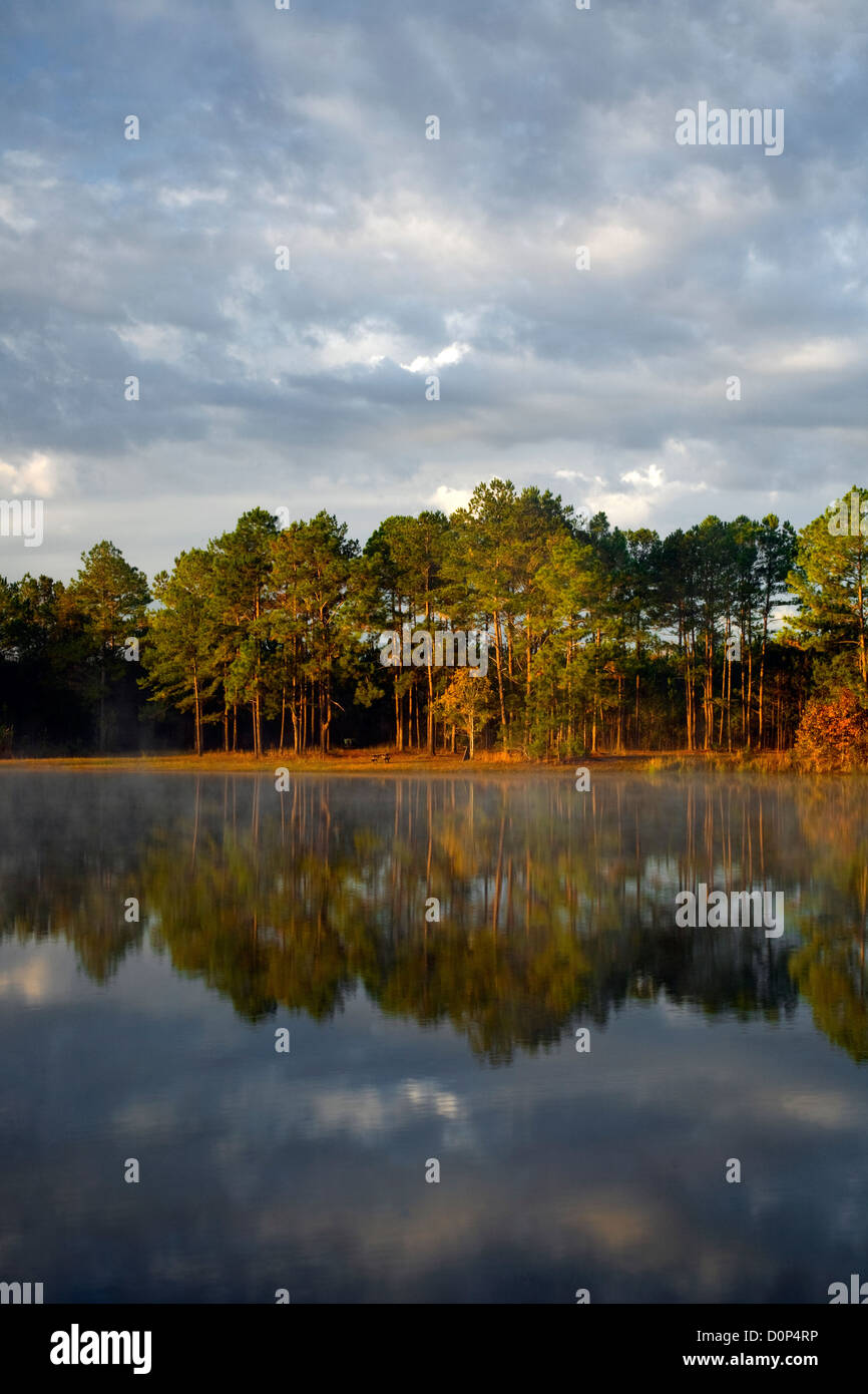 Townsend georgia hi-res stock photography and images - Alamy