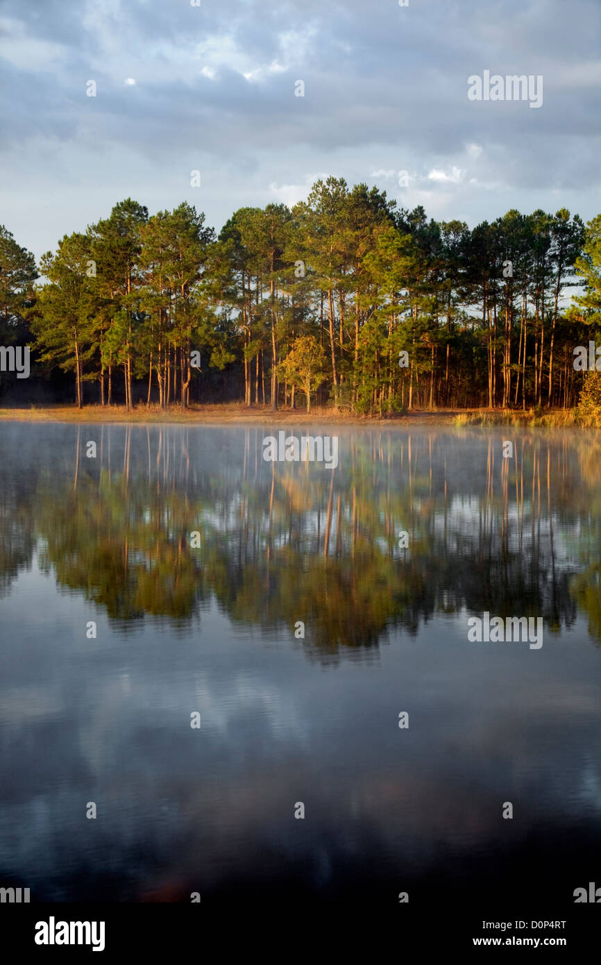 Georgia pond hi-res stock photography and images - Alamy
