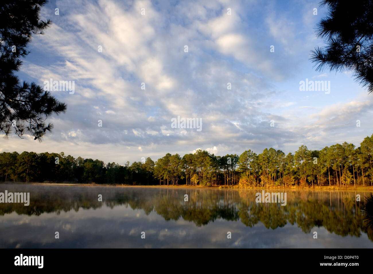 Georgia pond hi-res stock photography and images - Alamy