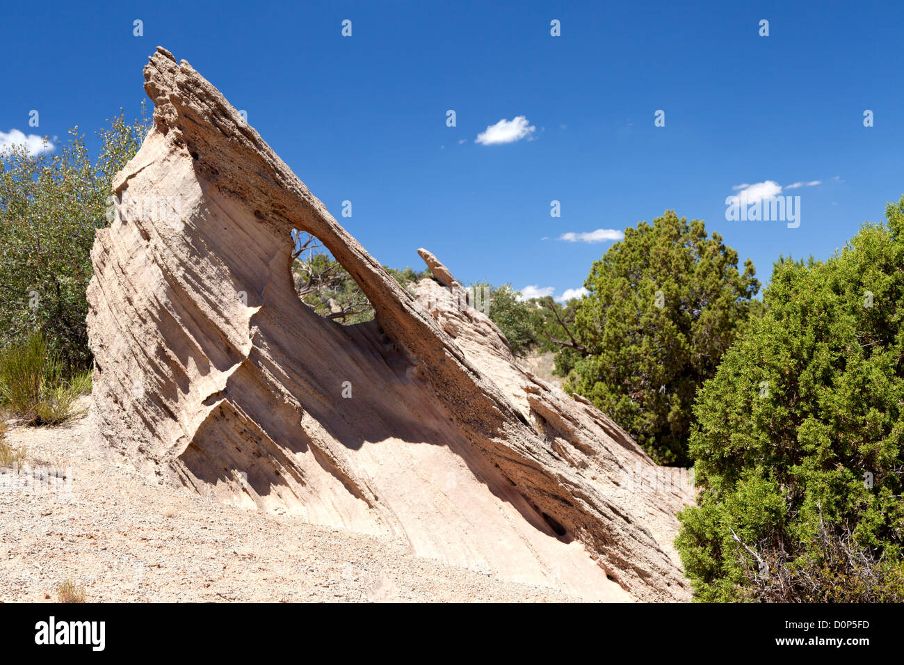 Bowstring arch hi-res stock photography and images - Alamy