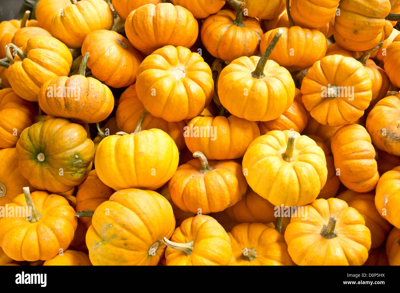 Miniature vegetables hi-res stock photography and images - Alamy