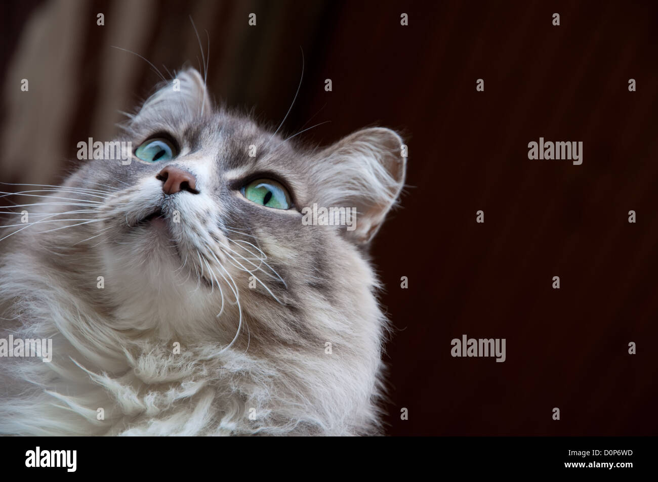 Following too closely hi-res stock photography and images - Alamy