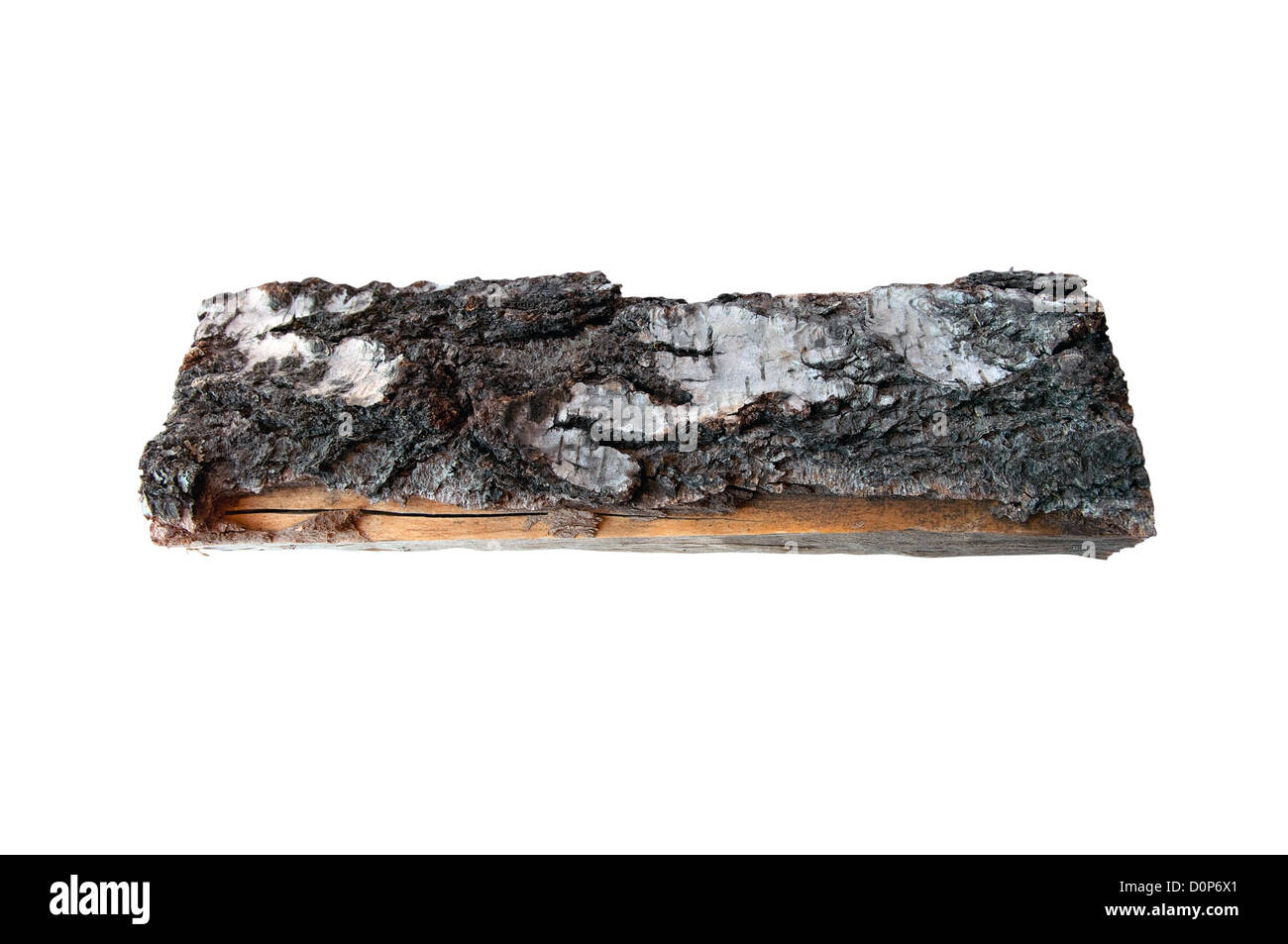 birch log on a white background Stock Photo - Alamy