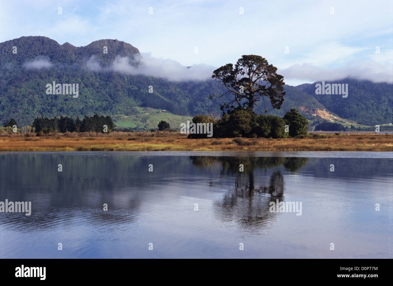 Collingwood Estuary, New Zealand Stock Photo - Alamy