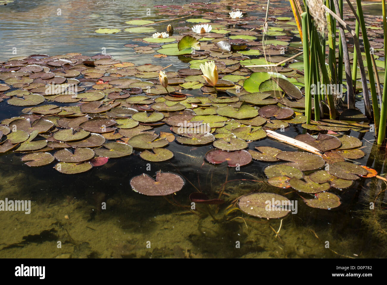 Man made body of water hi-res stock photography and images - Alamy