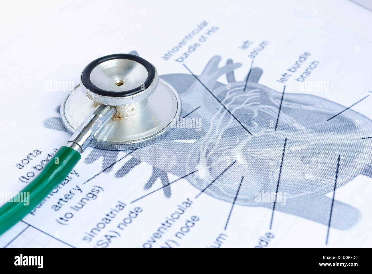 Doctor and stethoscope Stock Photo - Alamy