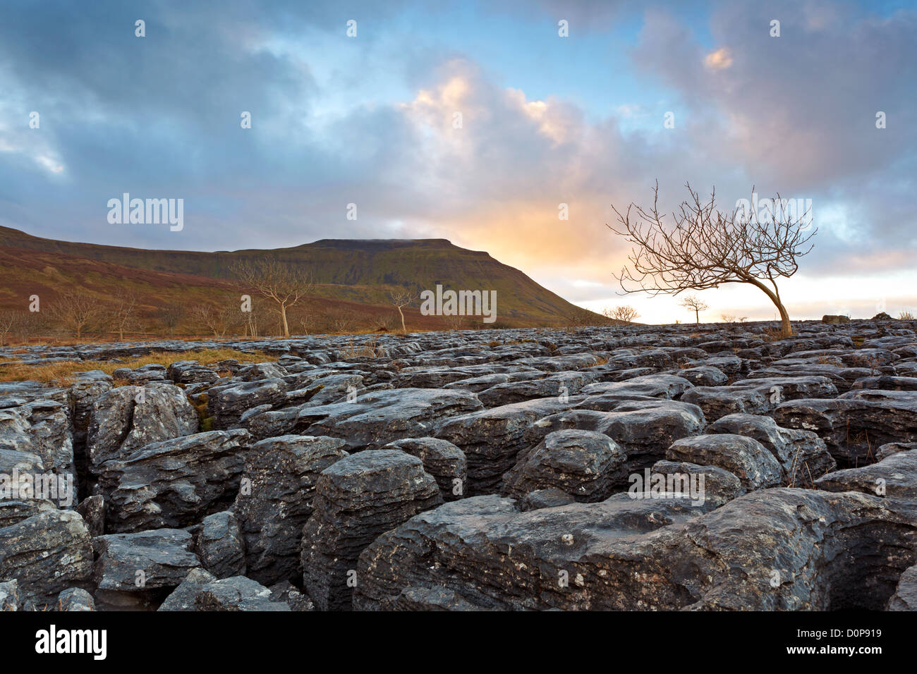 View across the limestone pavement at Southerscale Scar in the ...