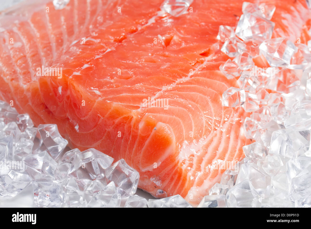 salmon on ice Stock Photo - Alamy