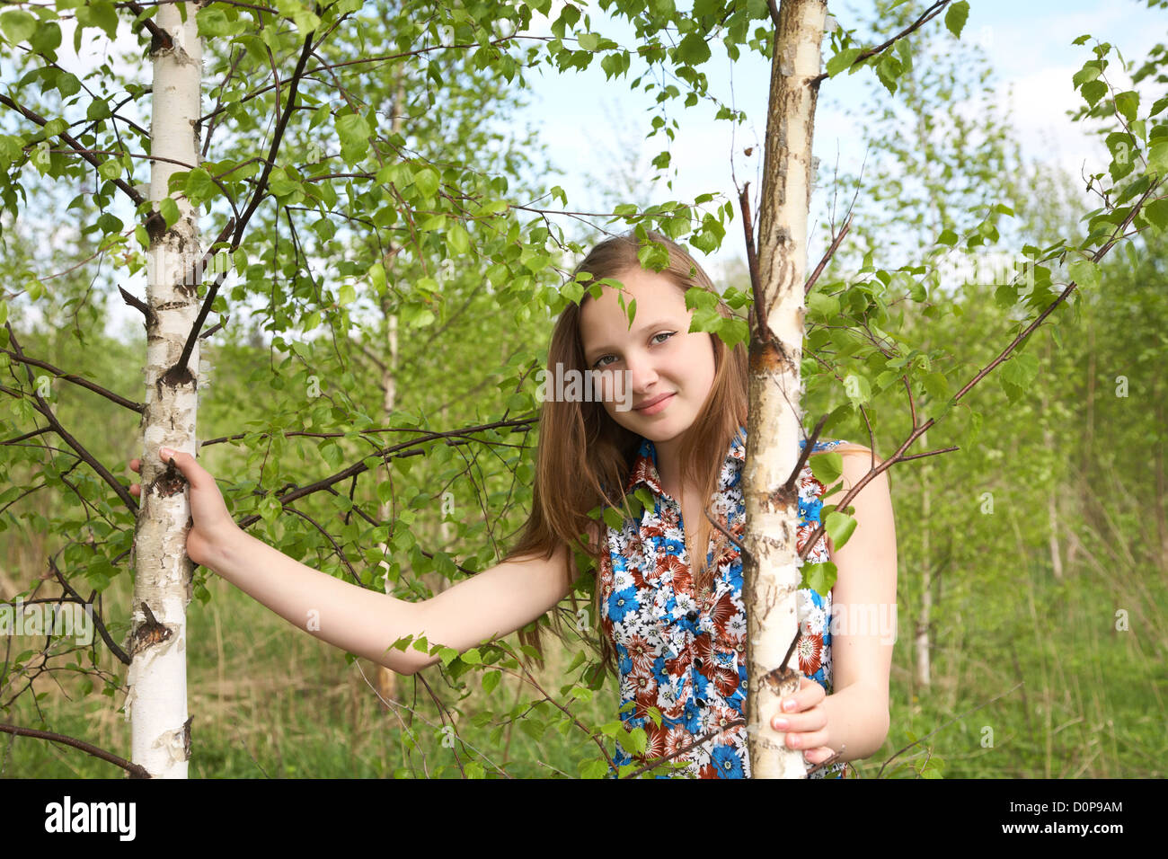 The girl among young birches Stock Photo - Alamy