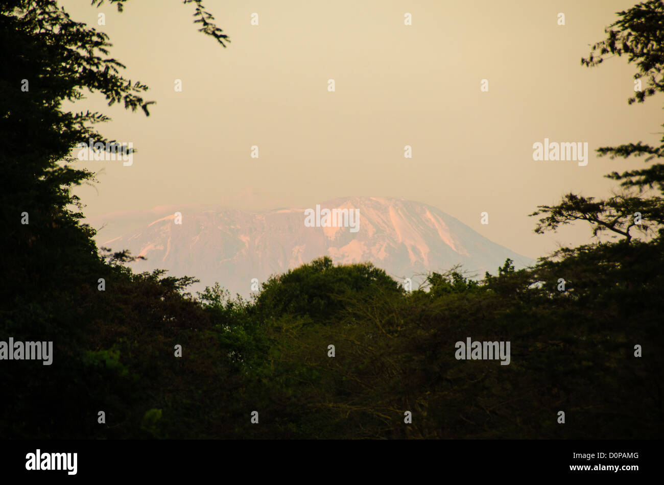 Snows of kilimanjaro hi-res stock photography and images - Alamy