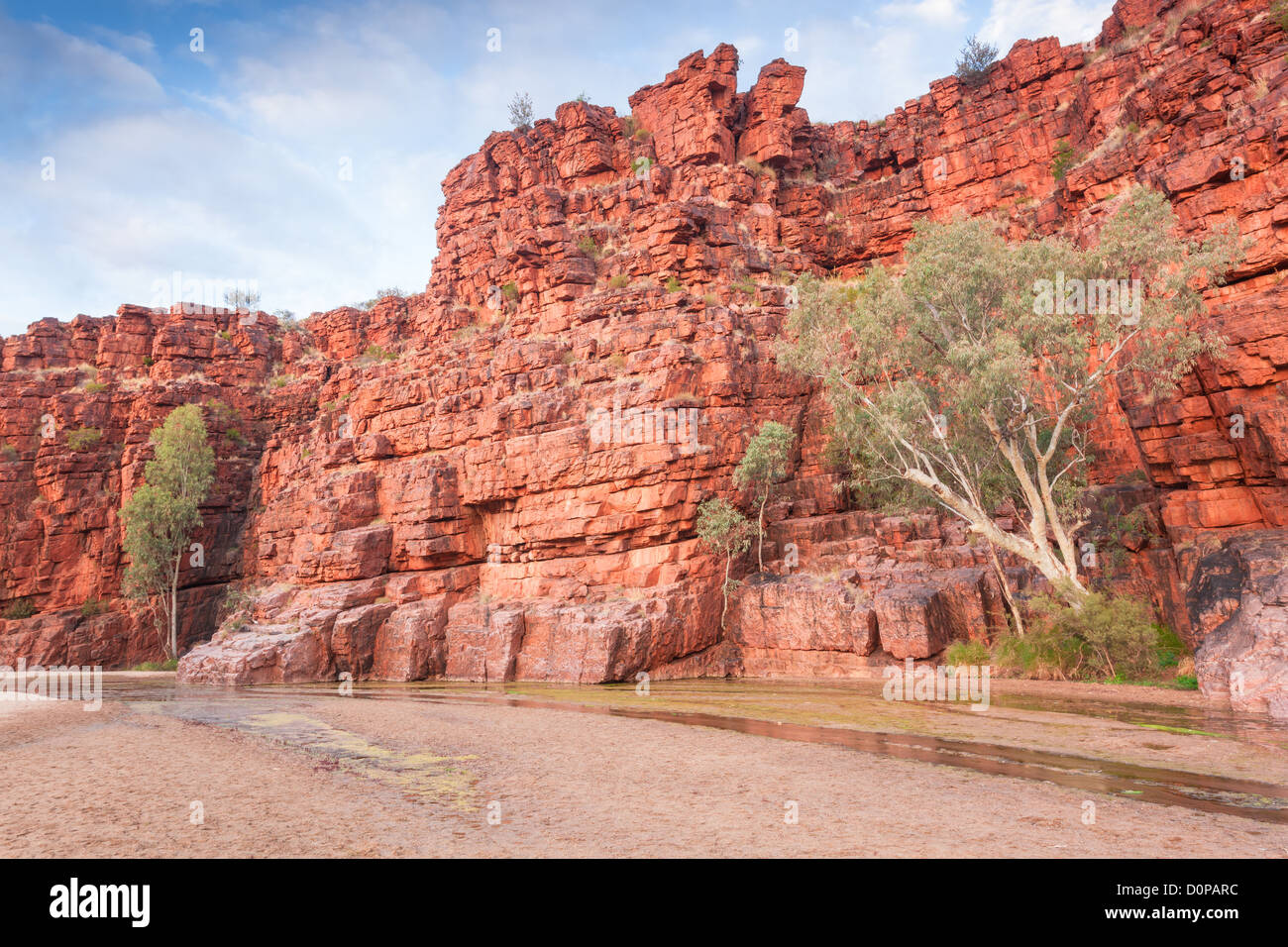 Rugged cliffs and ghost gums in Trephina Gorge in the East MacDonnell ...