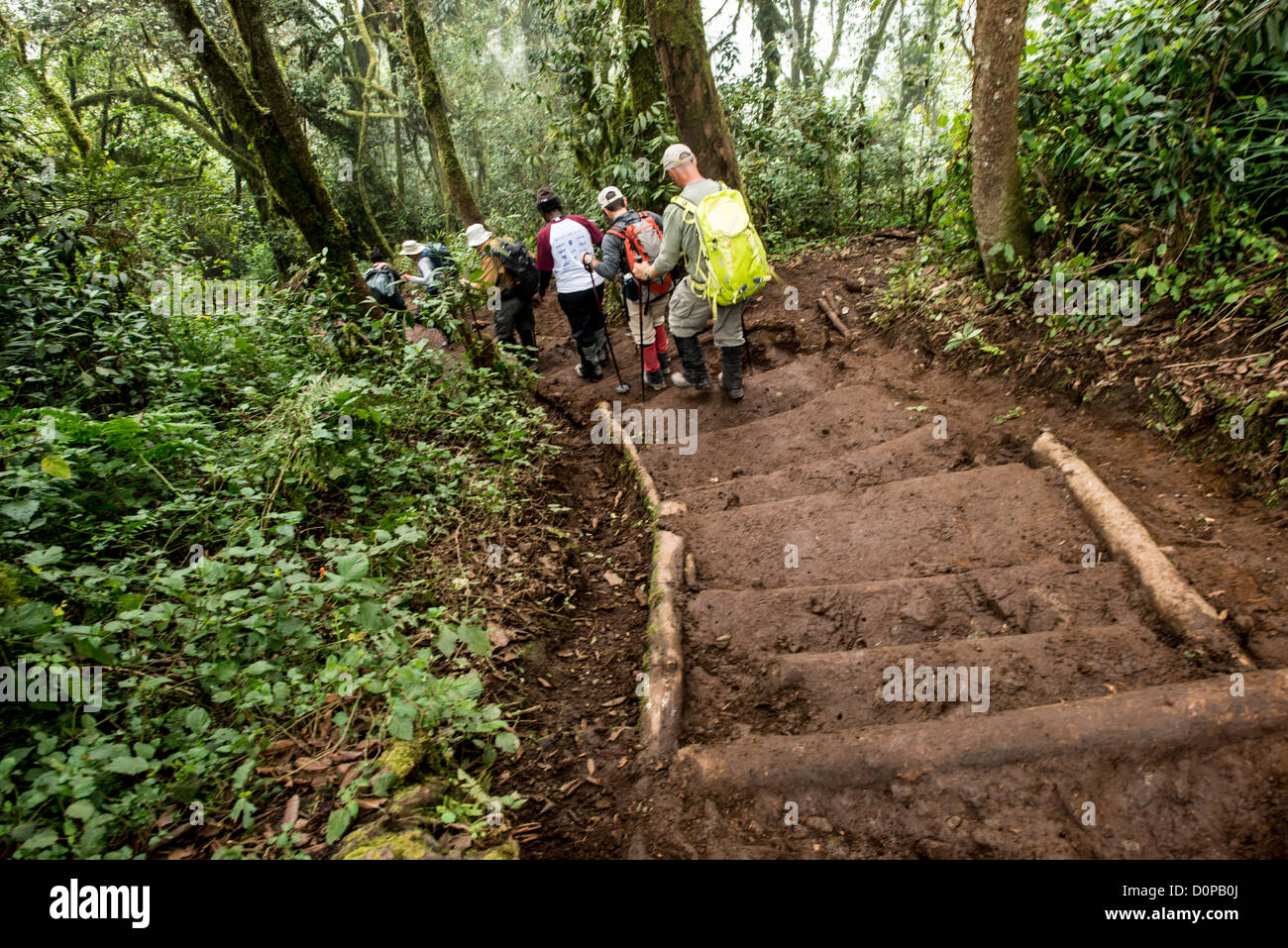 MOUNT KILIMANJARO, Tanzania — A group of hikers descends the steep ...