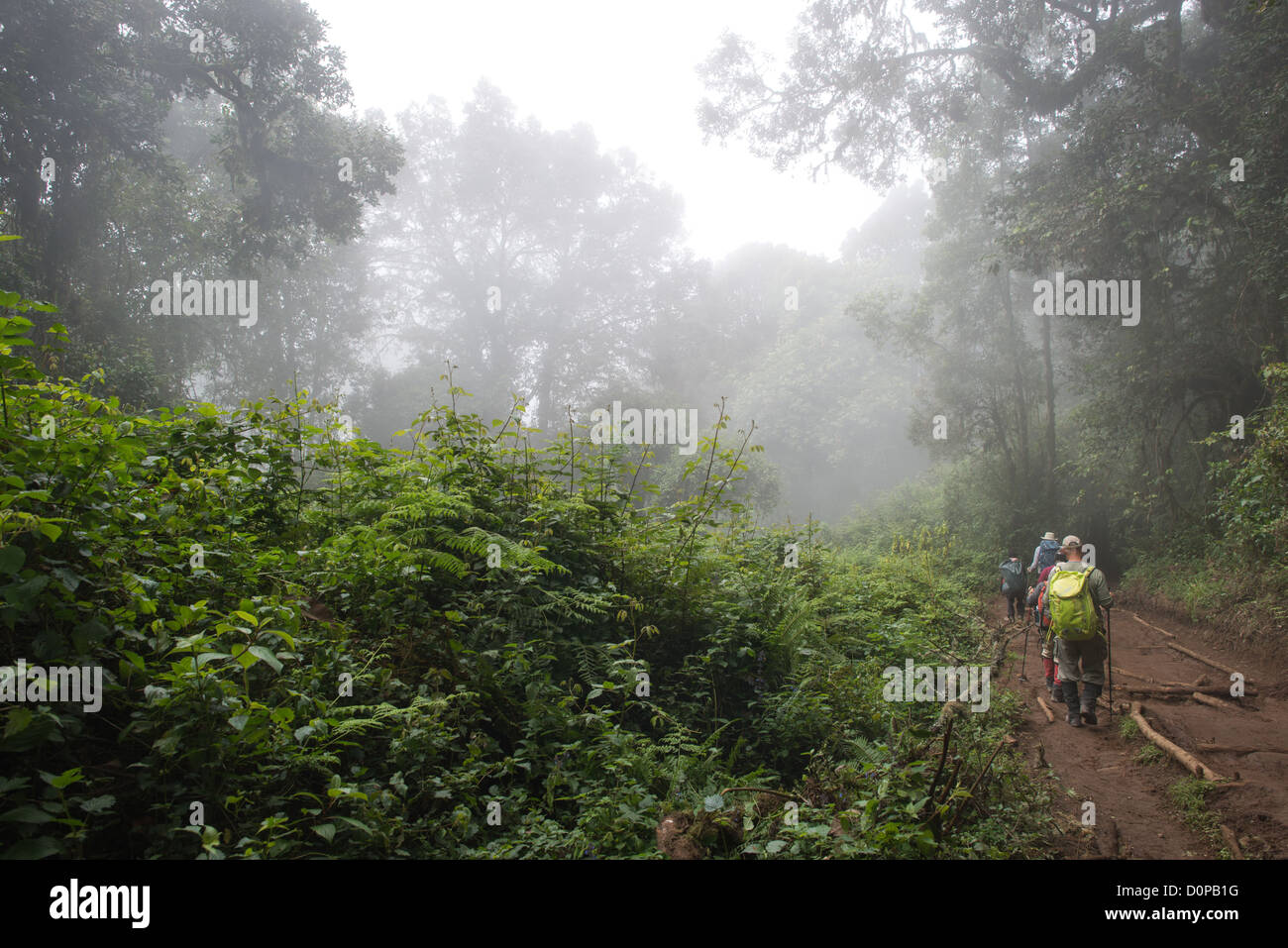 MOUNT KILIMANJARO, Tanzania — A group of hikers descends the steep ...
