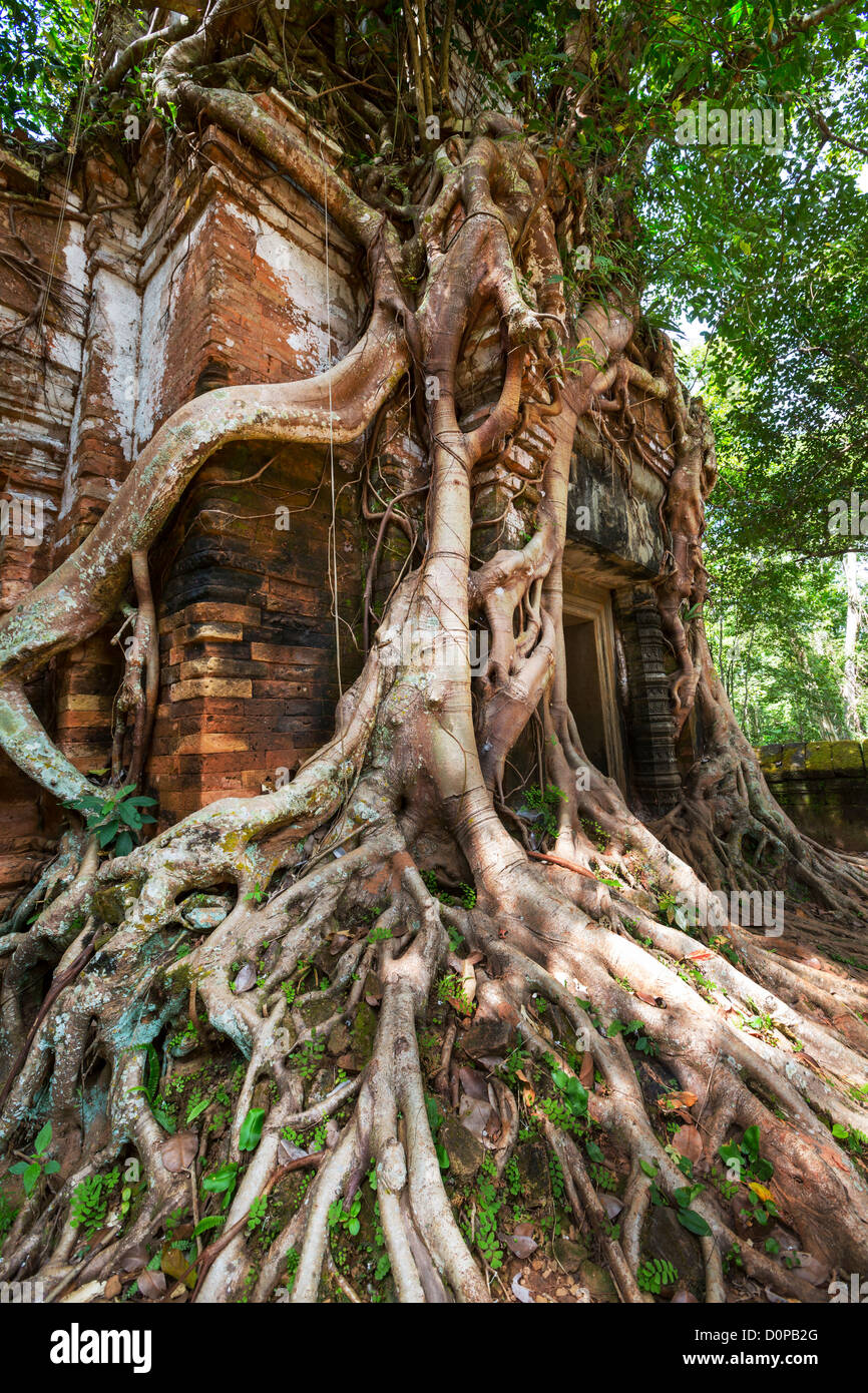Ancient temple Koh Ker,Cambodia Stock Photo - Alamy