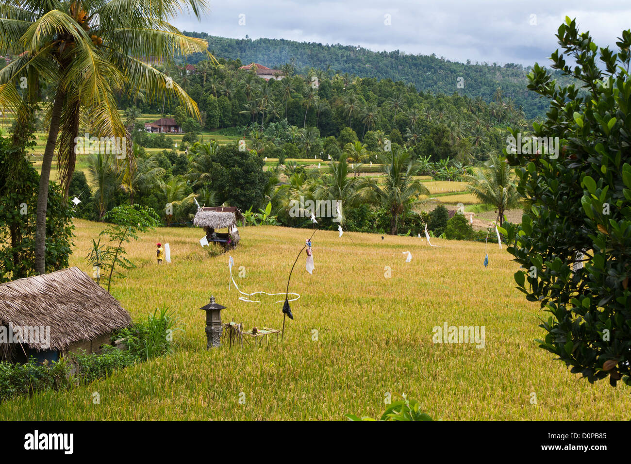 Landscape on Bali, Indonesia Stock Photo - Alamy