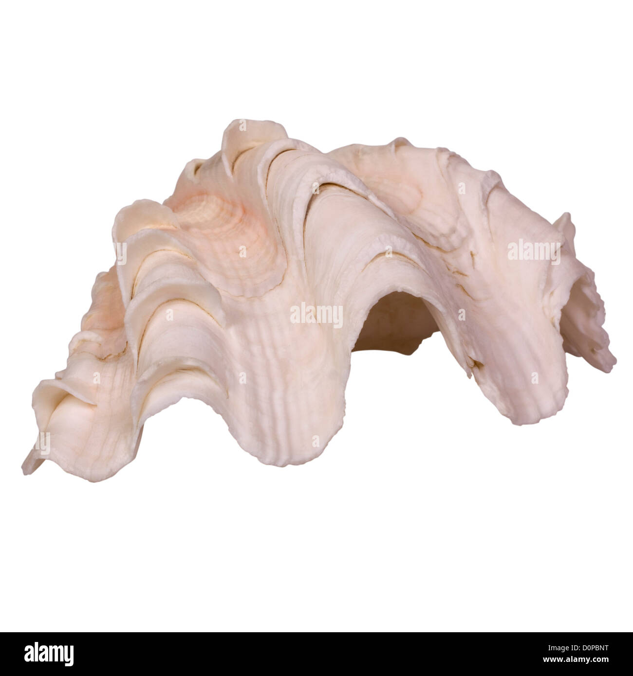 Hardness Cut Out Stock Images & Pictures - Alamy