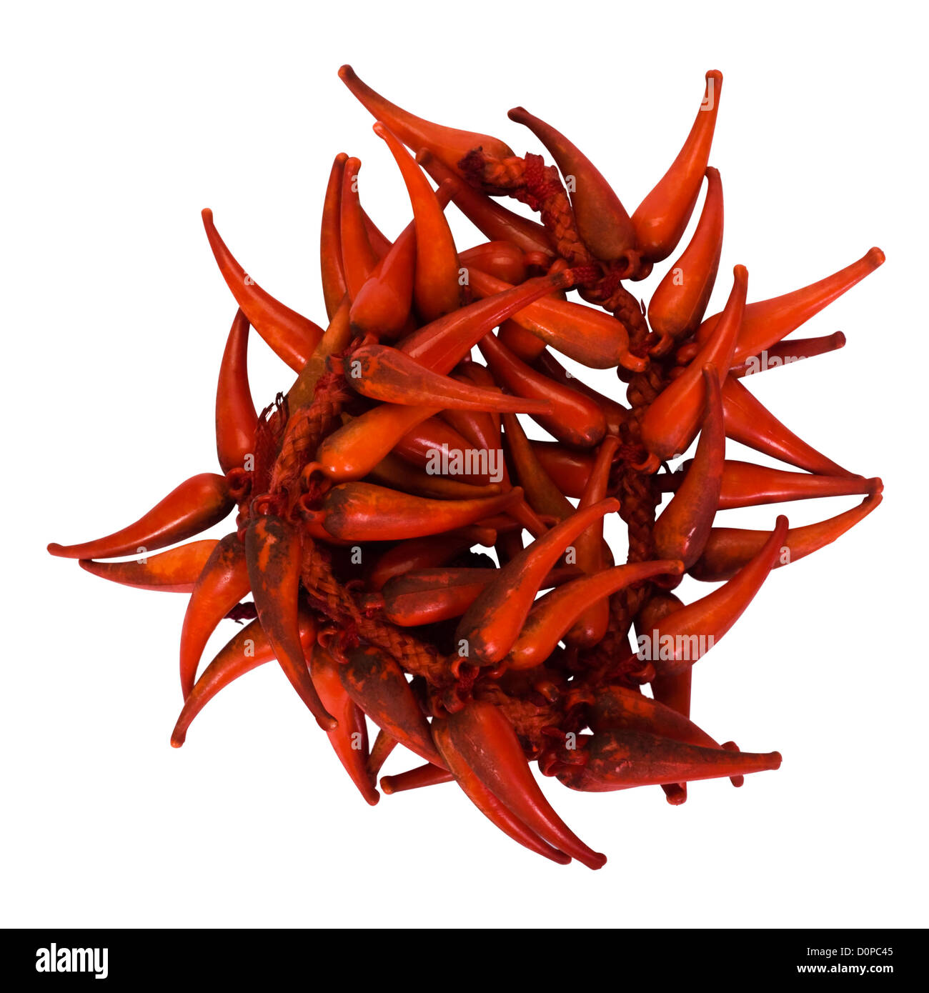 Chili strand hi-res stock photography and images - Alamy