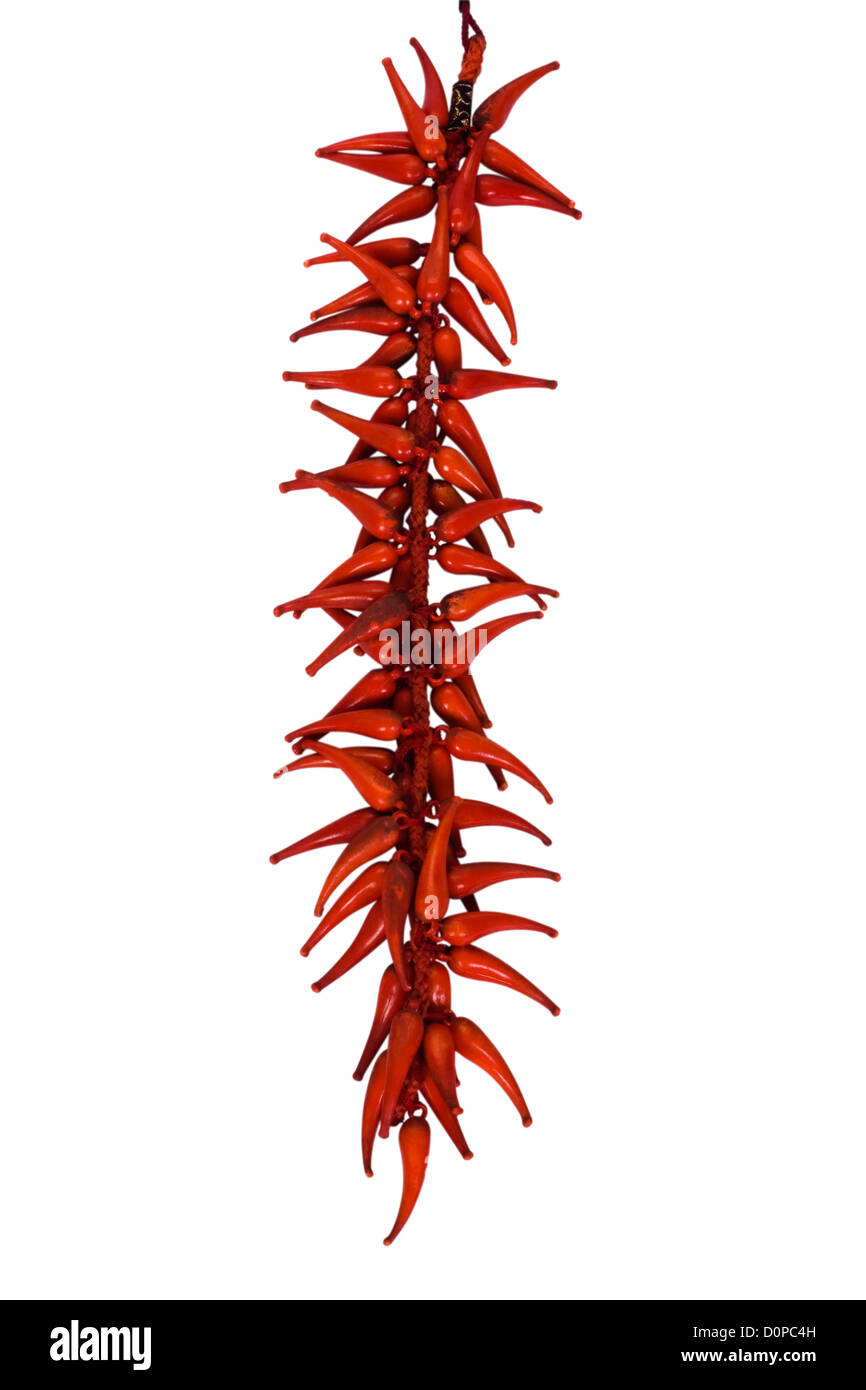 Chili strand hi-res stock photography and images - Alamy
