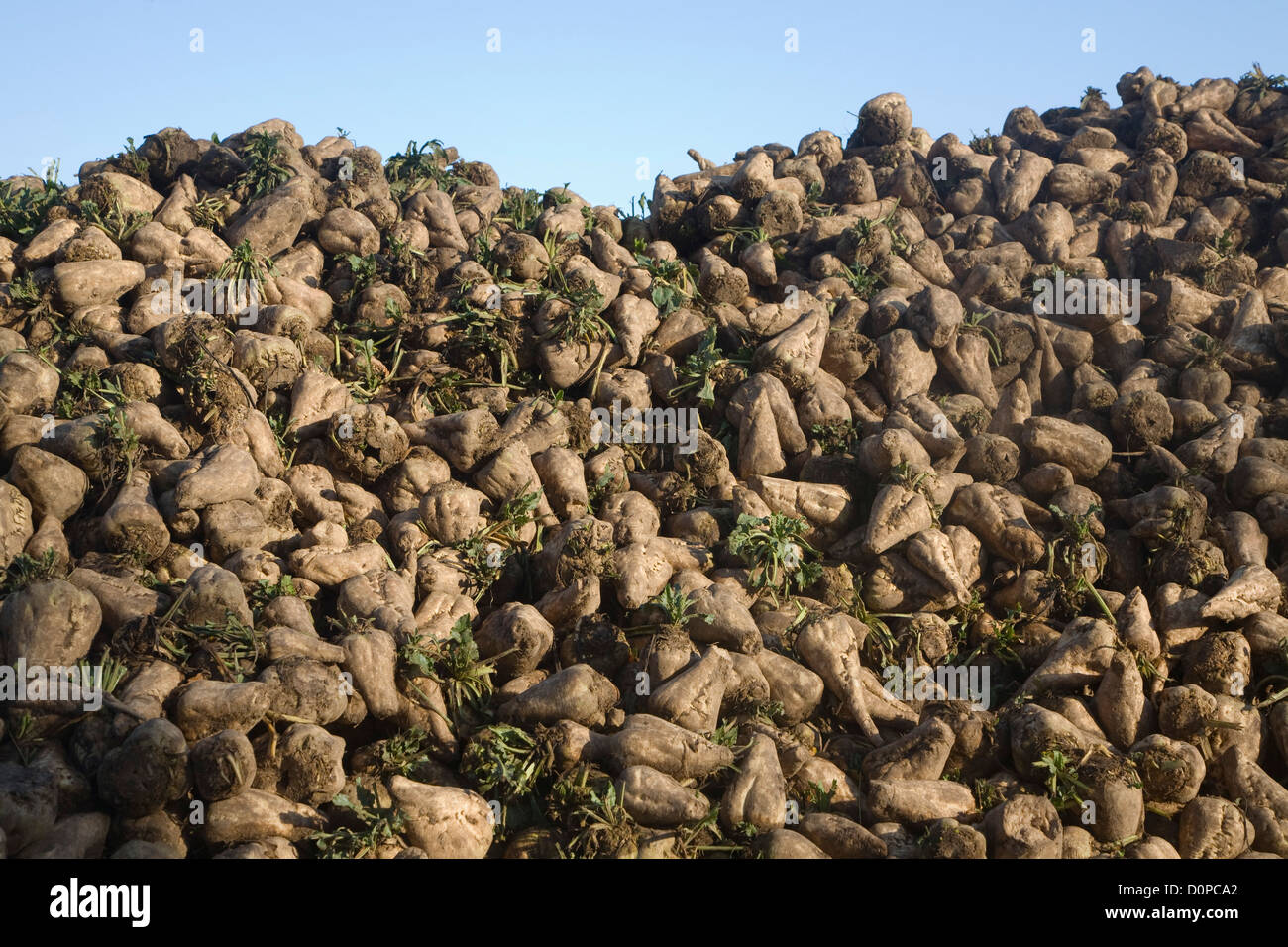 Piled crop hi-res stock photography and images - Alamy