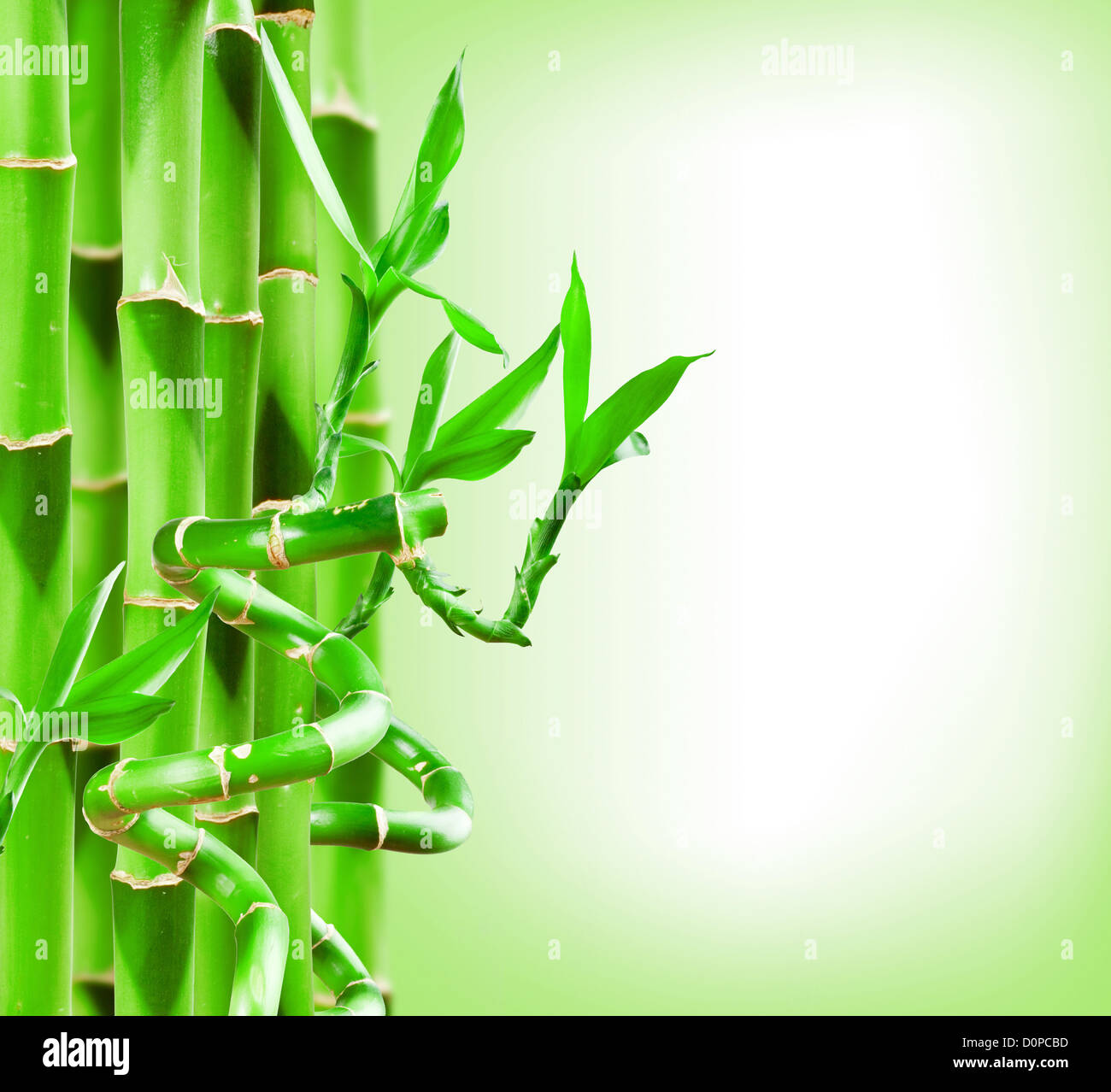 Bamboo Decoration High Resolution Stock Photography and Images - Alamy