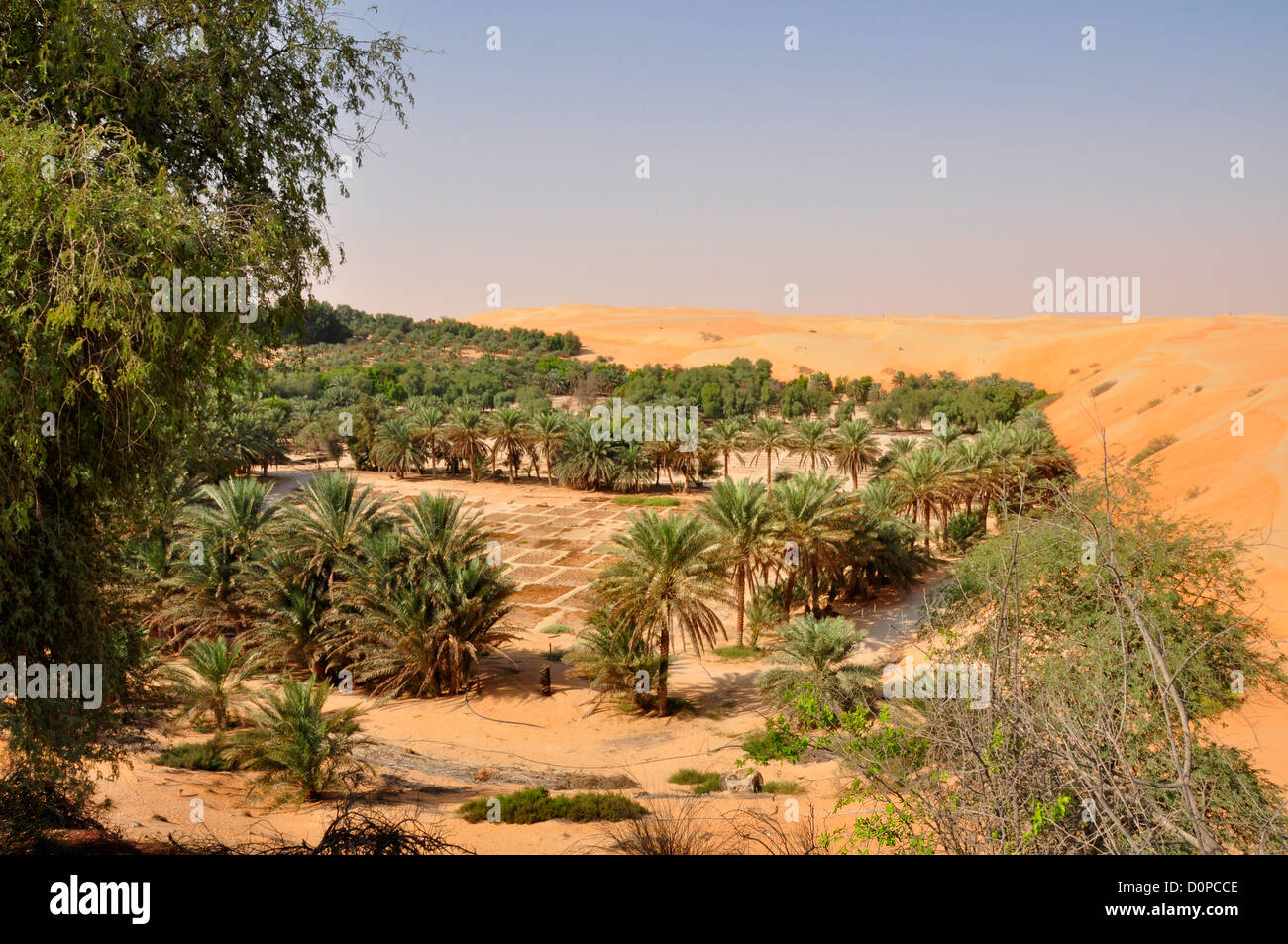 Liwa oasis hi-res stock photography and images - Alamy