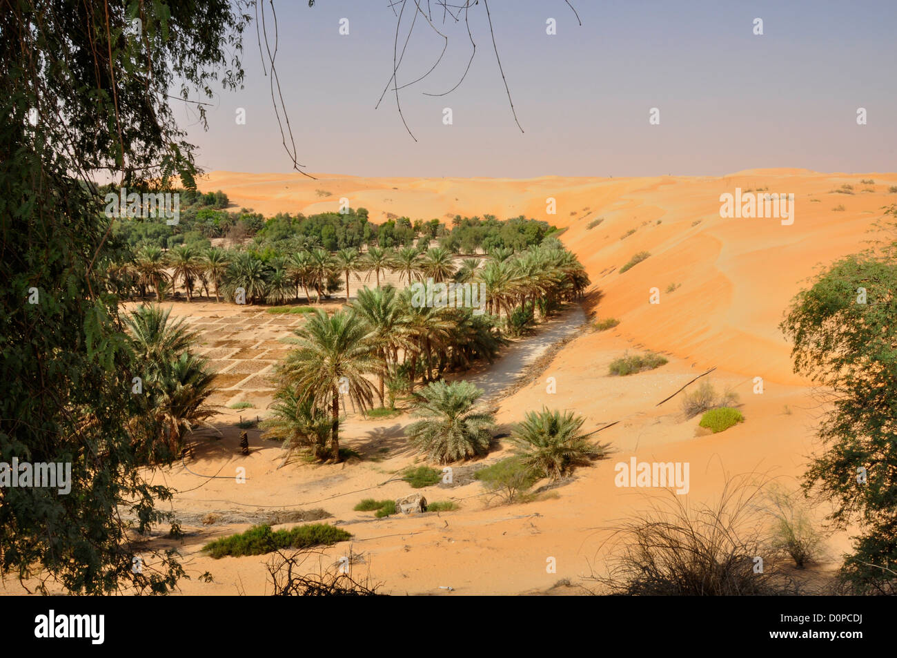 Desert oasis hi-res stock photography and images - Alamy