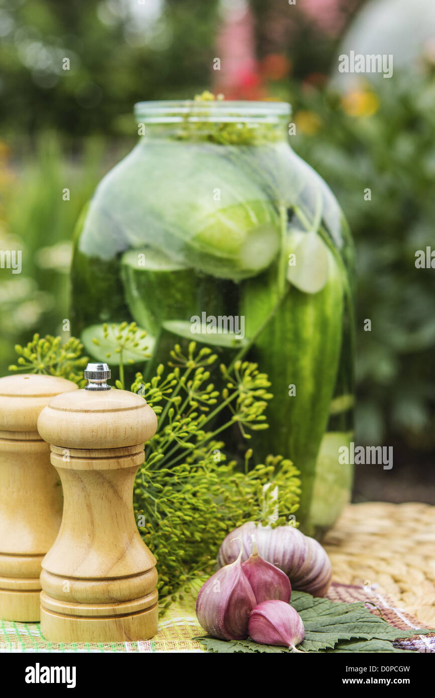 Homemade cucumber preserved in glass jar Stock Photo - Alamy
