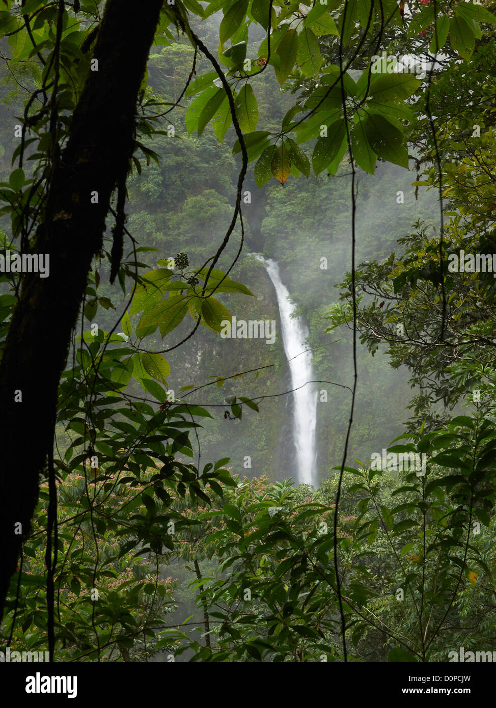 Fortuna waterfall; La Catarata de la Fortuna; La Fortuna; near Volcano ...