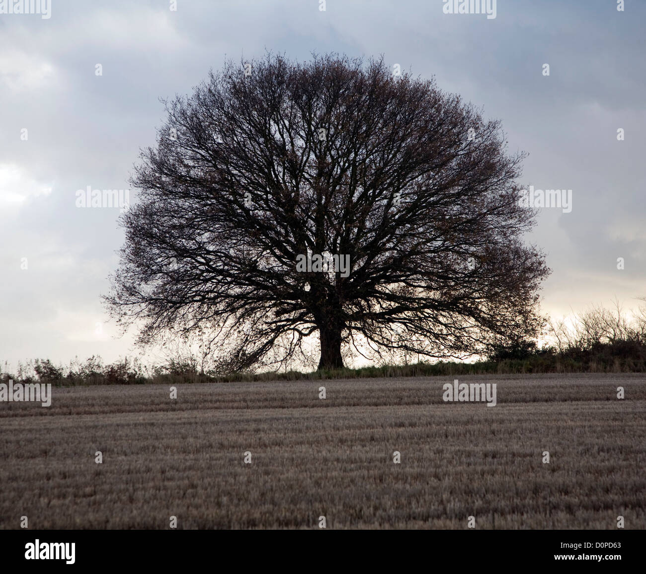 Grey sky hi-res stock photography and images - Alamy