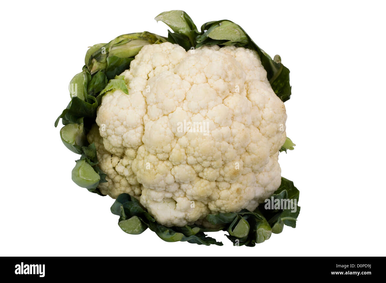 Cauliflower image Cut Out Stock Images & Pictures - Alamy