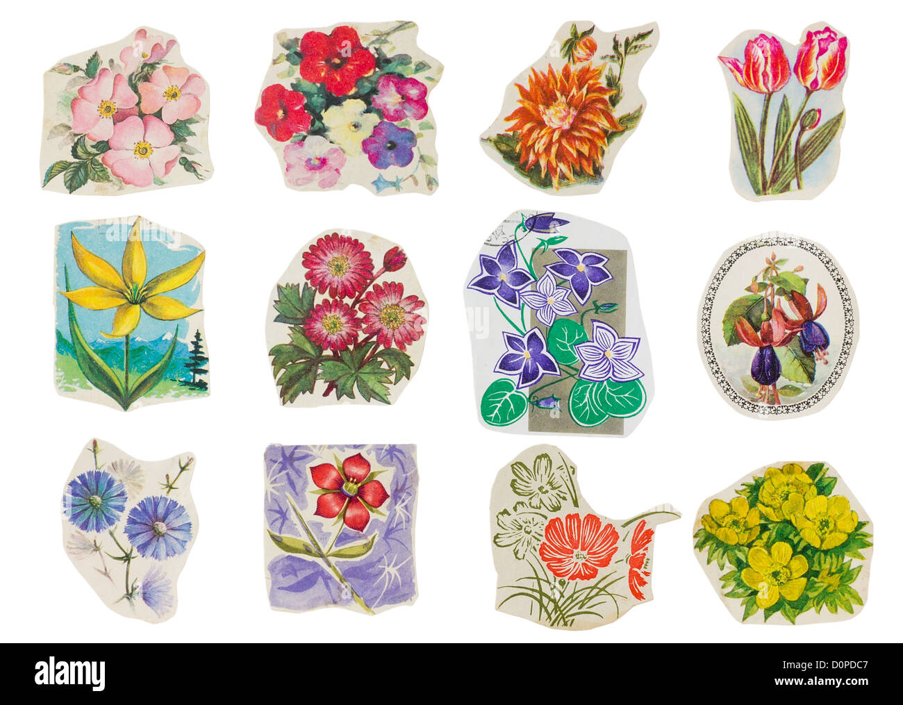 Banners plants Cut Out Stock Images & Pictures - Alamy