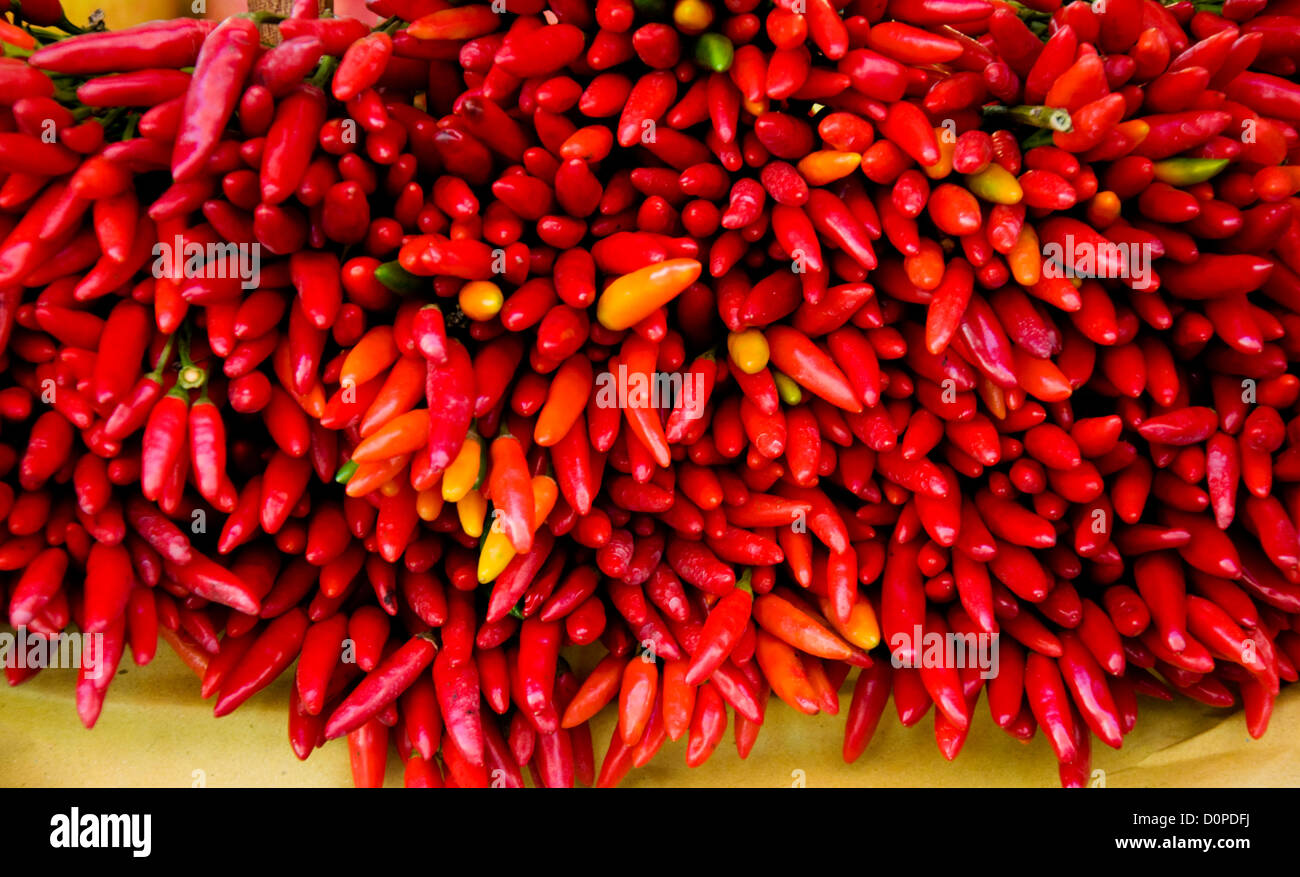 Hot chili variety hi-res stock photography and images - Alamy