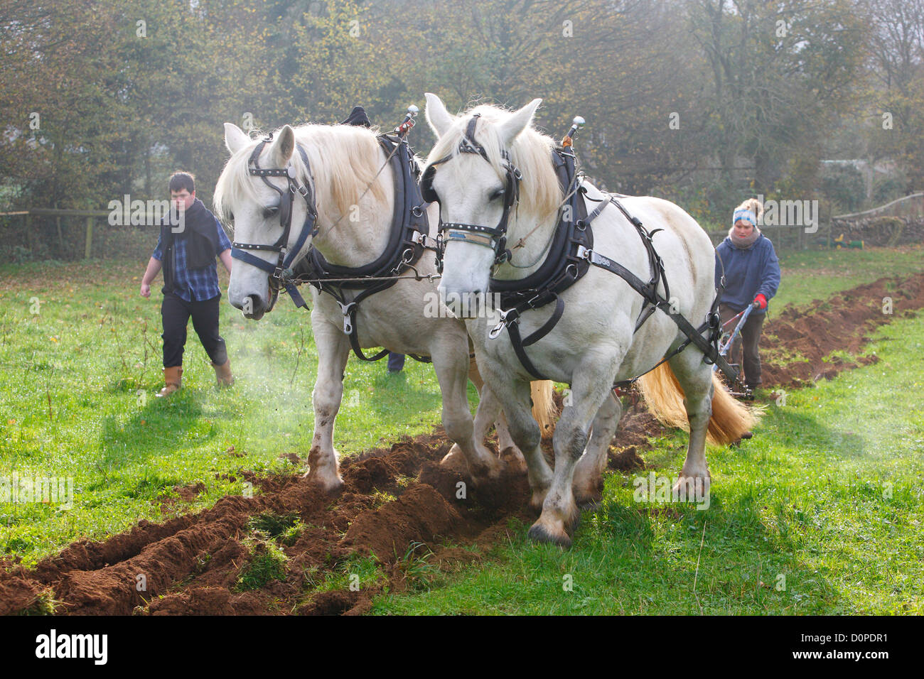 Horses farming farm plough hi-res stock photography and images - Alamy