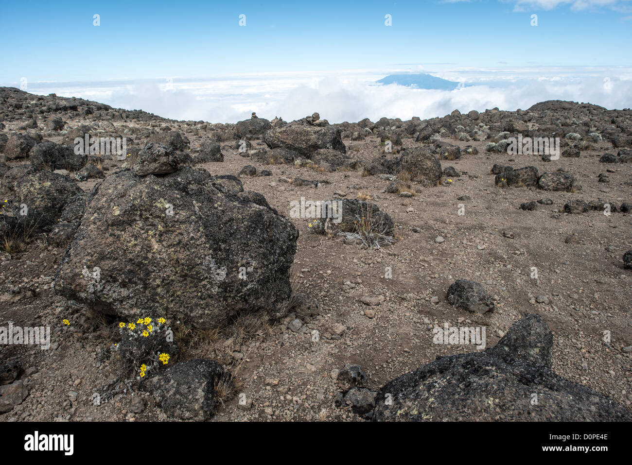 Lava tower of mount kilimanjaro hi-res stock photography and images - Alamy